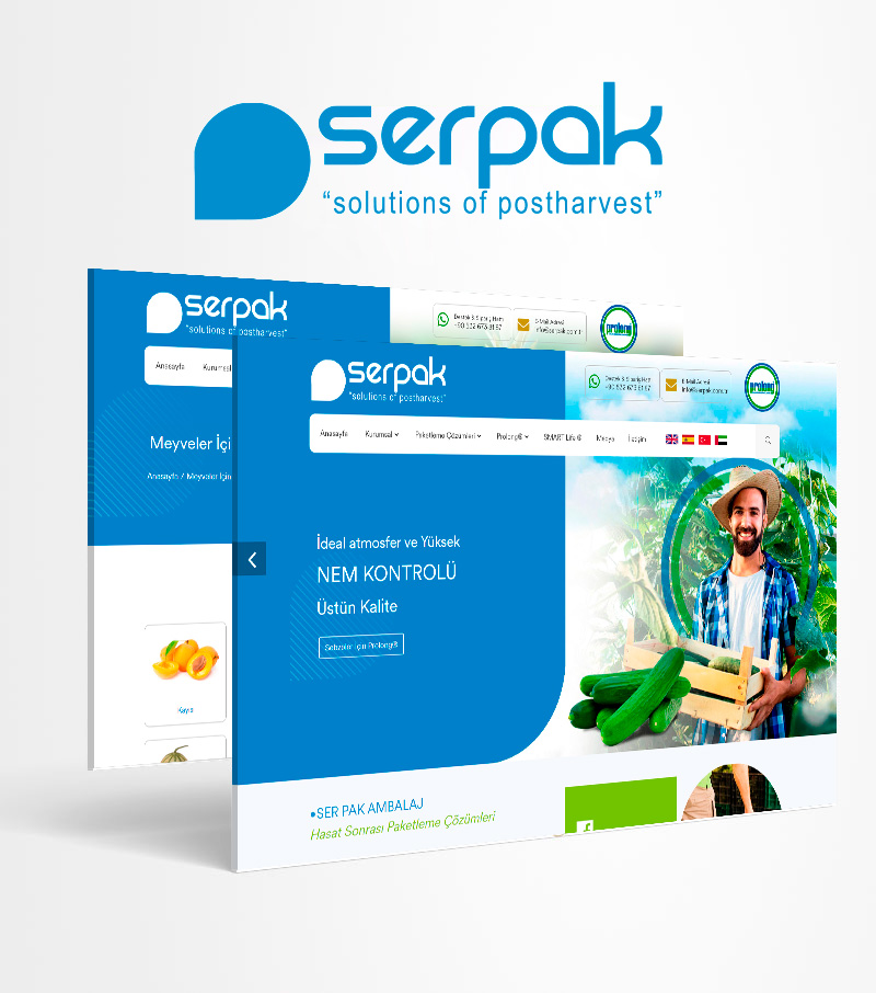 Pixelans® Antalya Web Tasarım | Sosyal Medya Yönetimi | Adwords ...